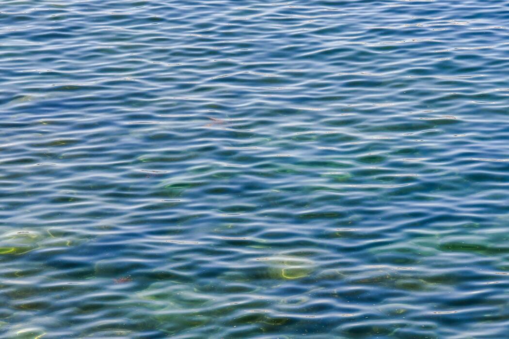 Watery Surface Stock Photos, Images and Backgrounds for Free Download