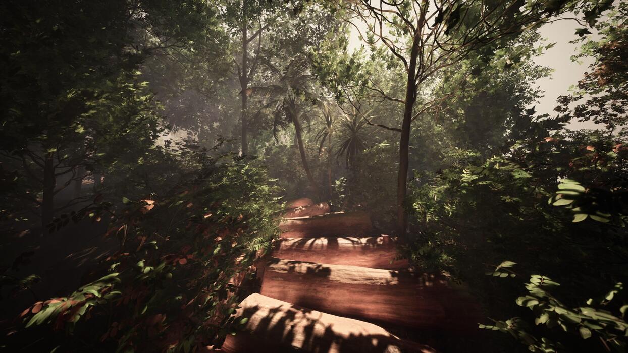 Jungle Path Stock Photos, Images and Backgrounds for Free Download