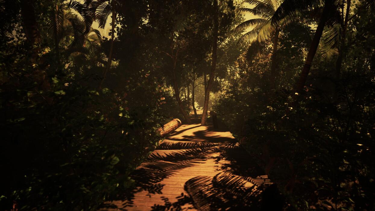 Jungle Path Stock Photos, Images and Backgrounds for Free Download