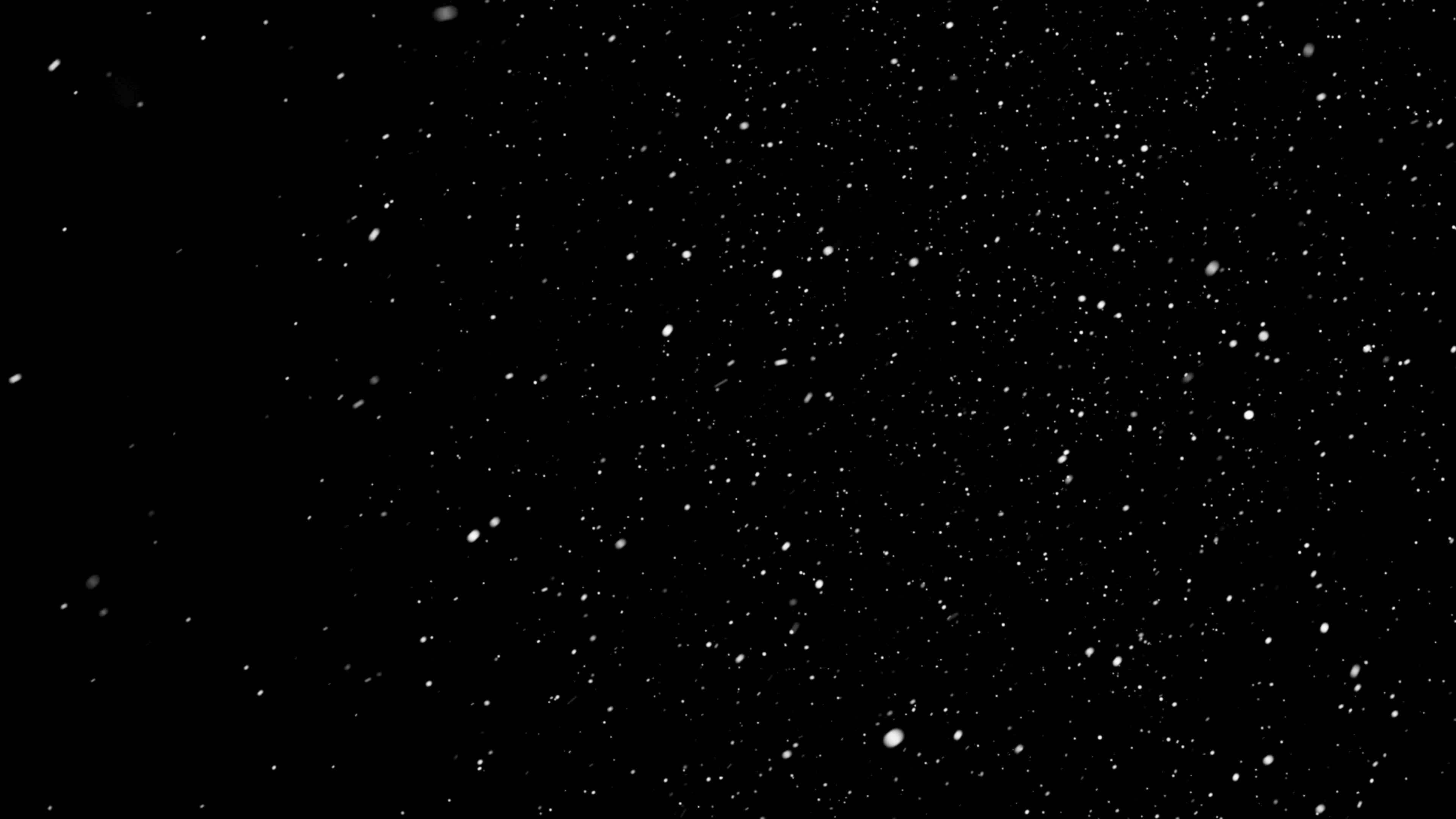 Dust Particles Overlay Floating Glittering Particles With With Black