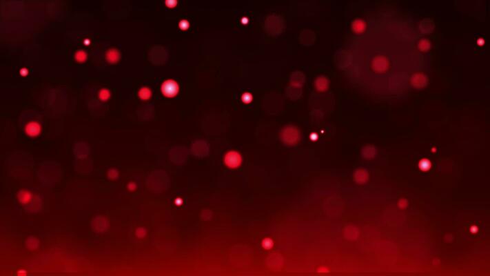 Red Background Animation Stock Video Footage for Free Download