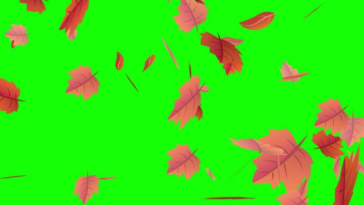 Falling Leaves Animation Stock Video Footage for Free Download