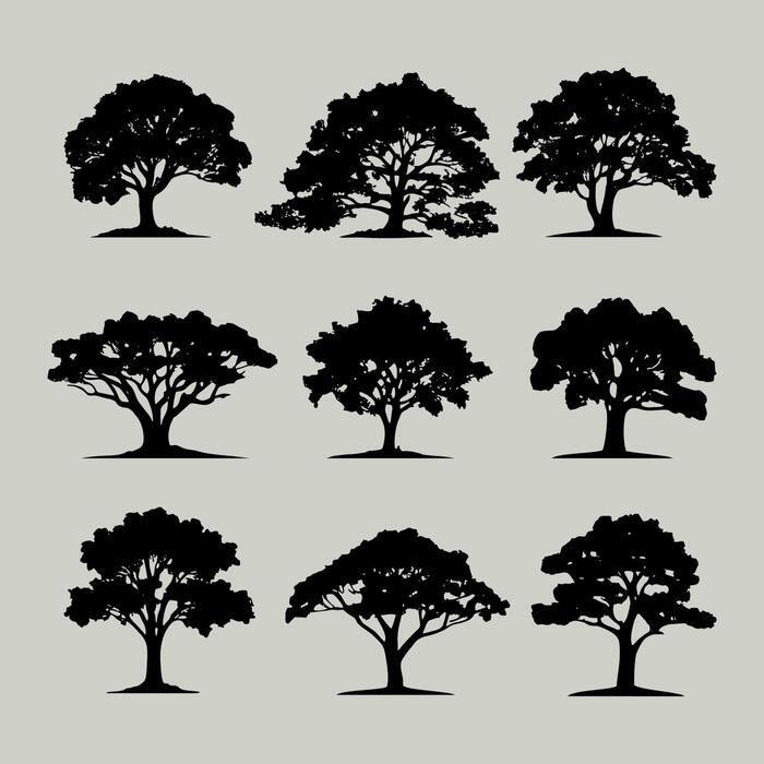Tree Silhouette Vector Art, Icons, and Graphics for Free Download