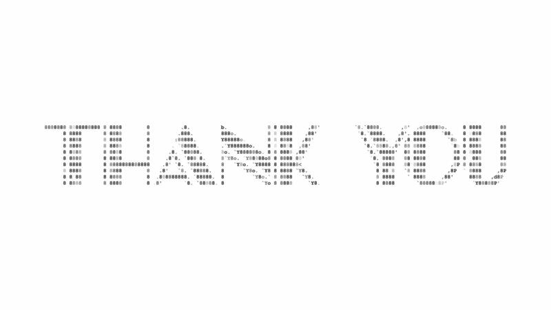 Thank you ascii animation loop on white background. Ascii code art ...