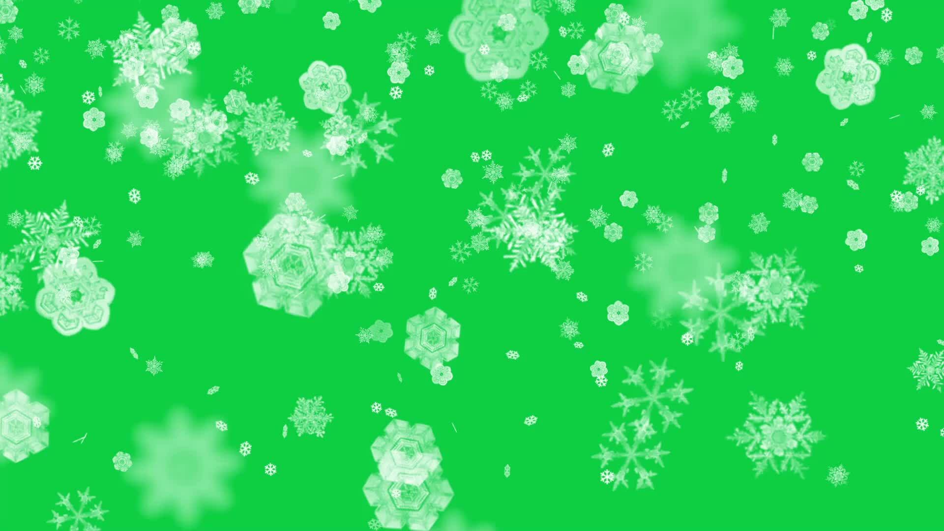 Different types of Christmas snowflakes falling randomly animation overlay effect on green ...