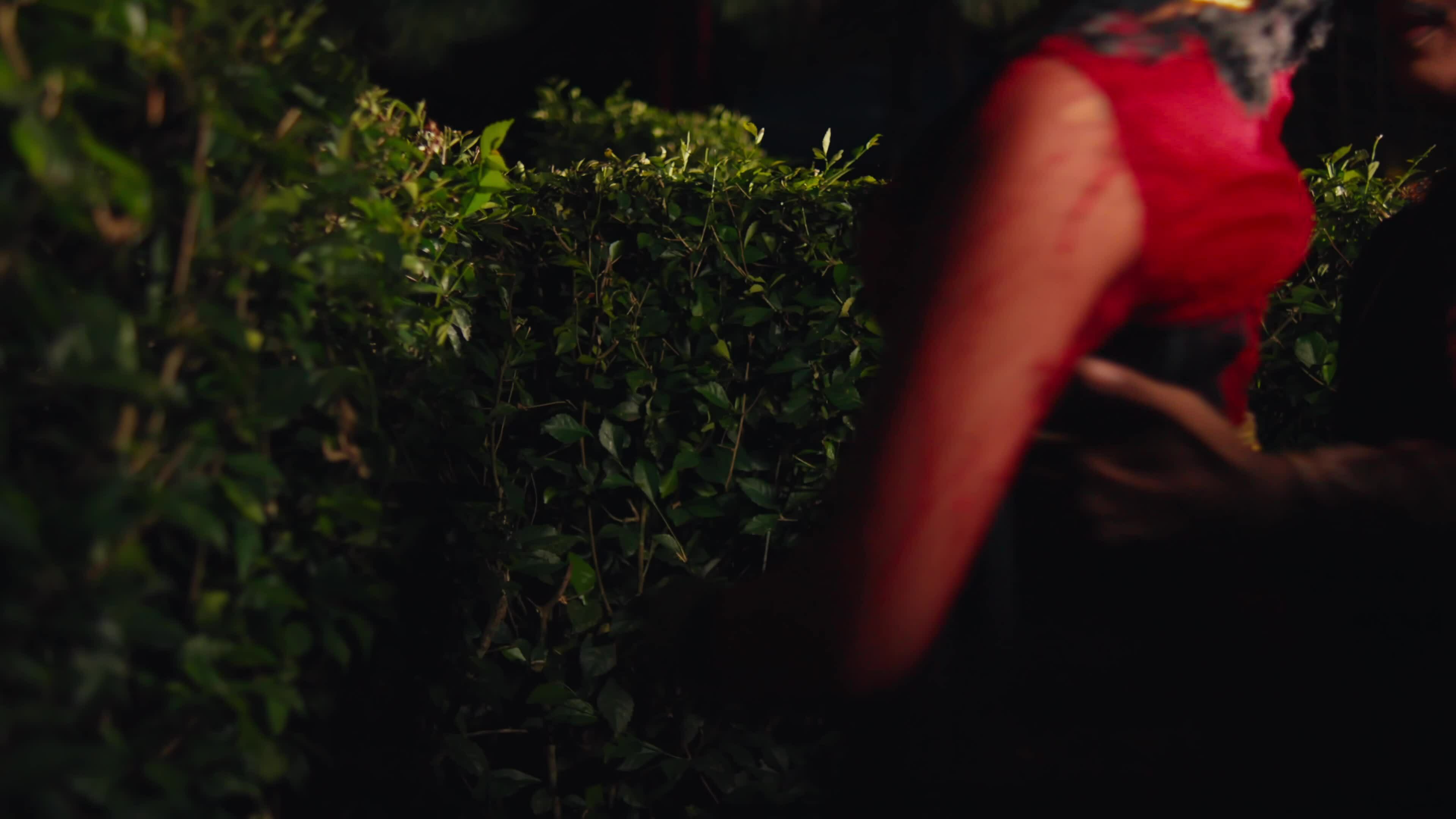 A pair of lovers hug each other and make out in a park very intimately 35610997 Stock Video at ...