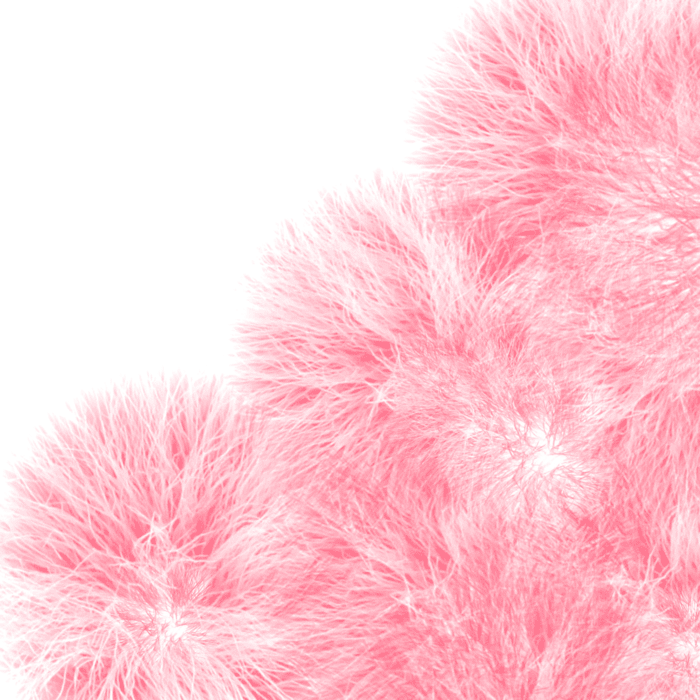 Fur PNGs for Free Download