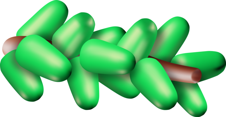 Protein Structure Pngs For Free Download