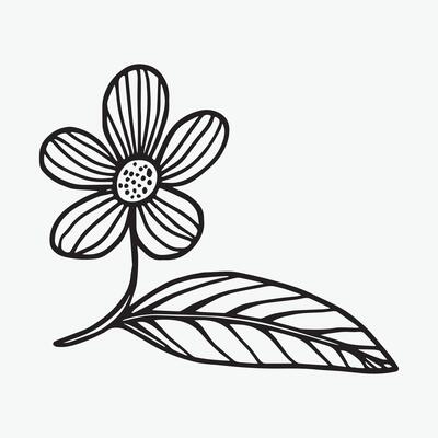 Black Line Flower Vector Art, Icons, and Graphics for Free Download