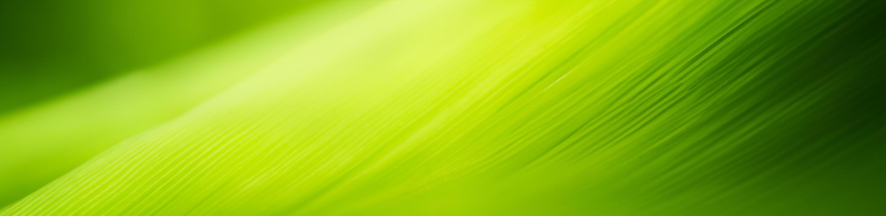Green Background Stock Photos, Images and Backgrounds for Free Download