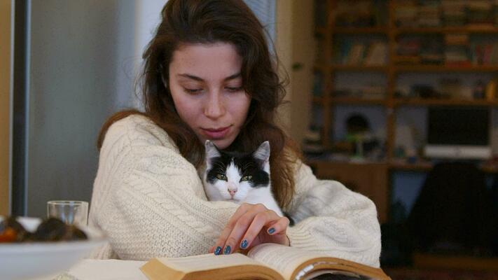 Book Stock Video Footage for Free Download