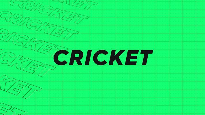 Cricket Animation Stock Video Footage for Free Download