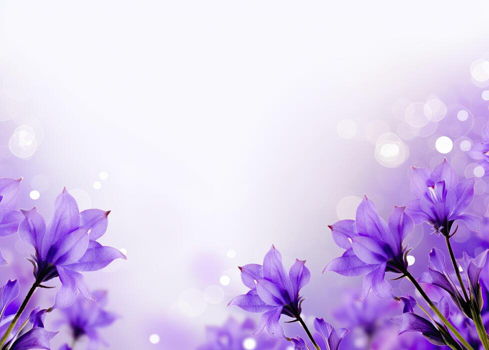 Purple Flowers Background Stock Photos, Images and Backgrounds for Free ...
