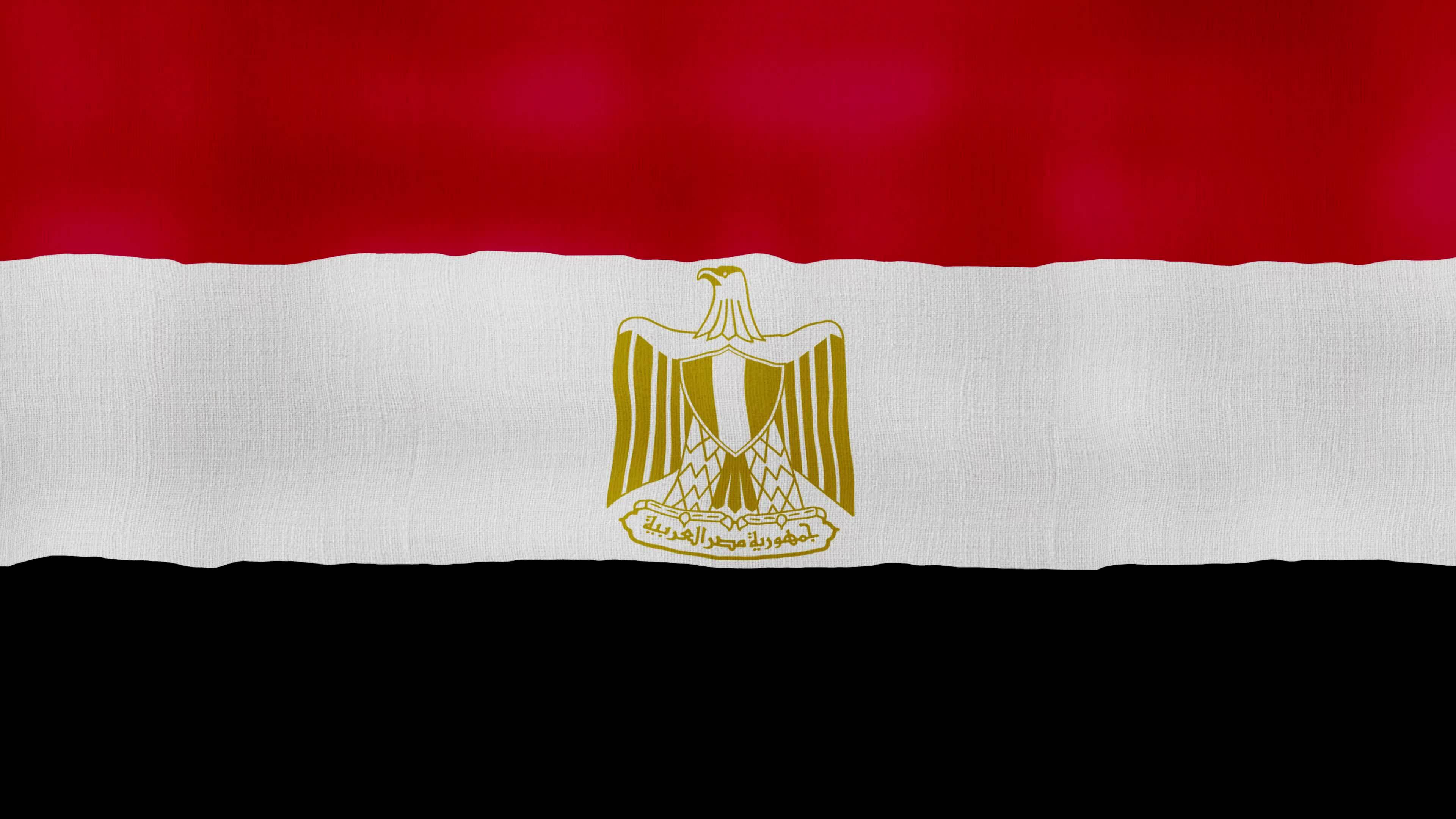 Egypt flag waving cloth Perfect Looping, Full screen animation 4K Resolution 35987838 Stock ...
