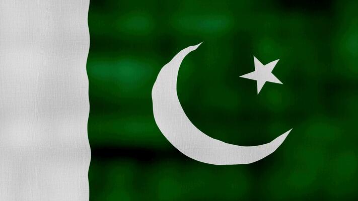 Pakistan Flag Animation Stock Video Footage for Free Download