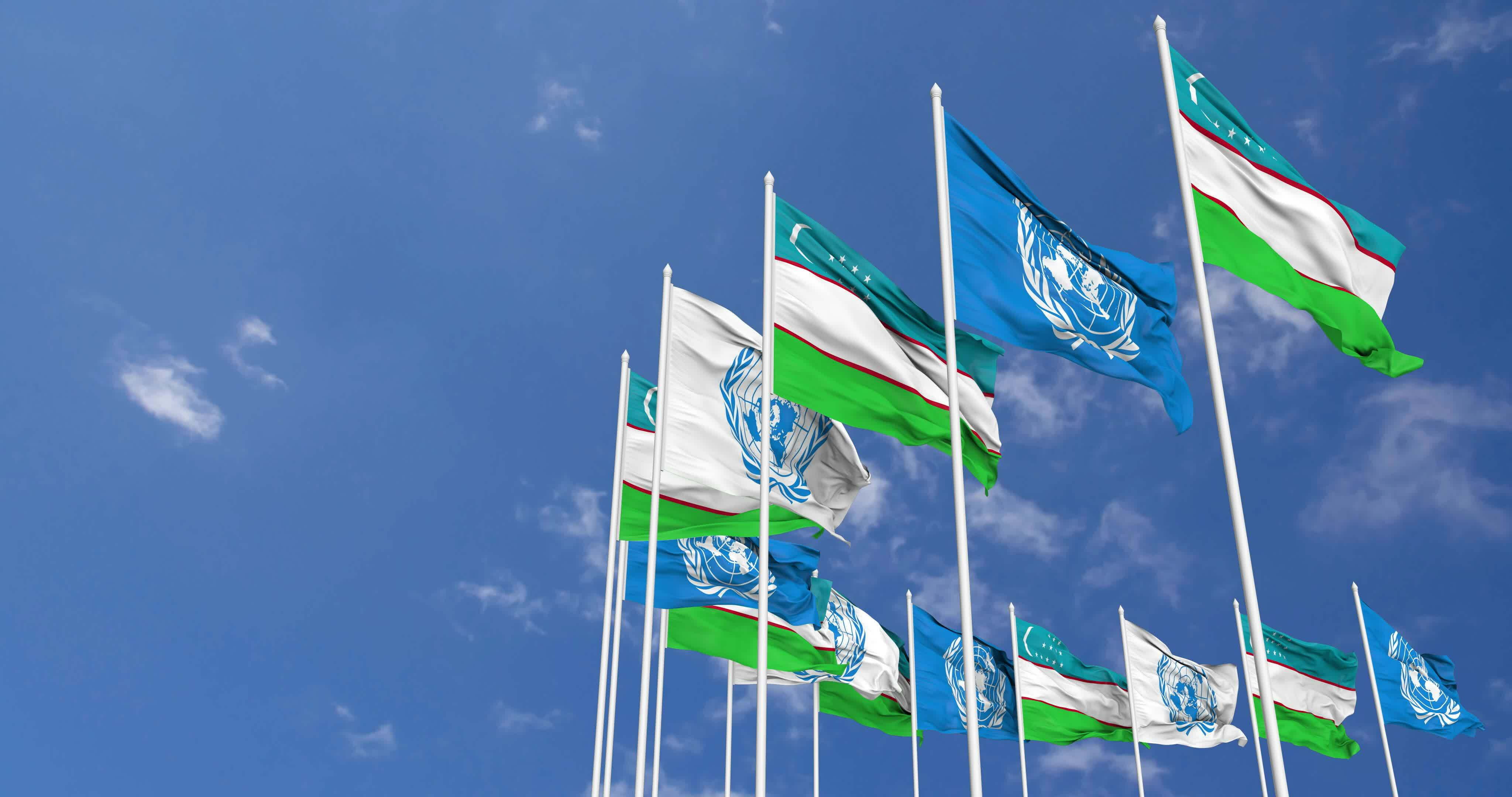 Uzbekistan and United Nations, UN Flags Waving Together in the Sky, Seamless Loop in Wind, Space ...