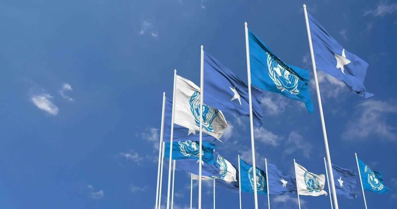 Somalia and United Nations, UN Flags Waving Together in the Sky, Seamless Loop in Wind, Space on ...