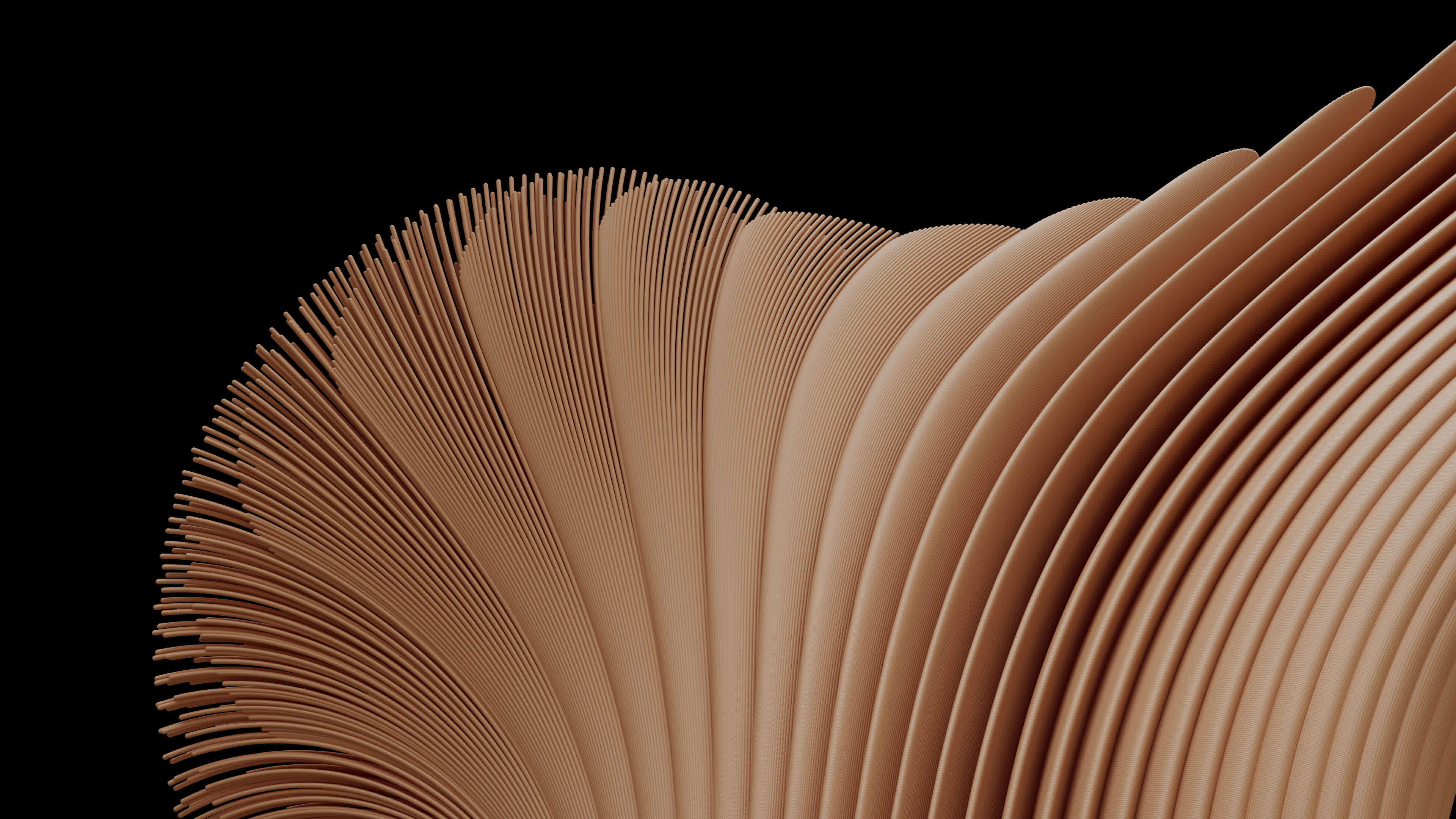 Spiral Book Stock Video Footage for Free Download