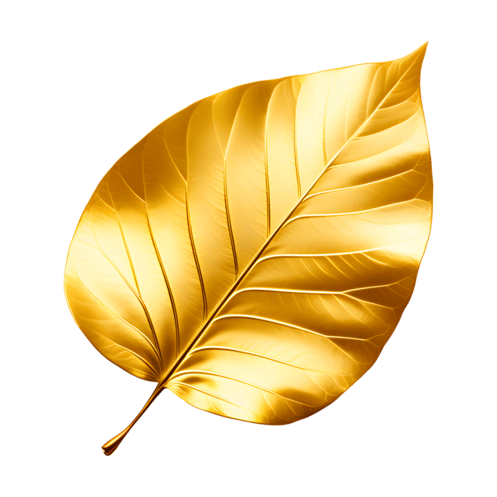 Golden Leaves PNGs for Free Download