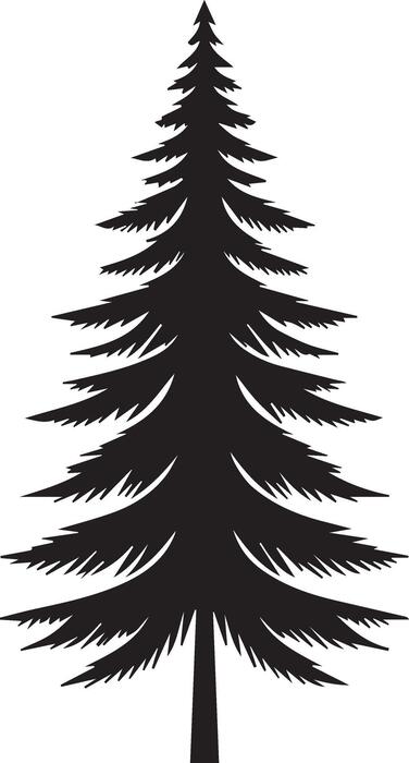 Simple Pine Tree Outline Vector Art, Icons, and Graphics for Free Download