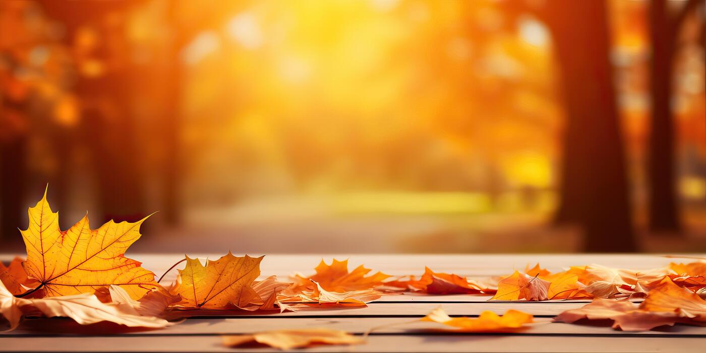 Fall Autumn Background Stock Photos, Images and Backgrounds for Free ...