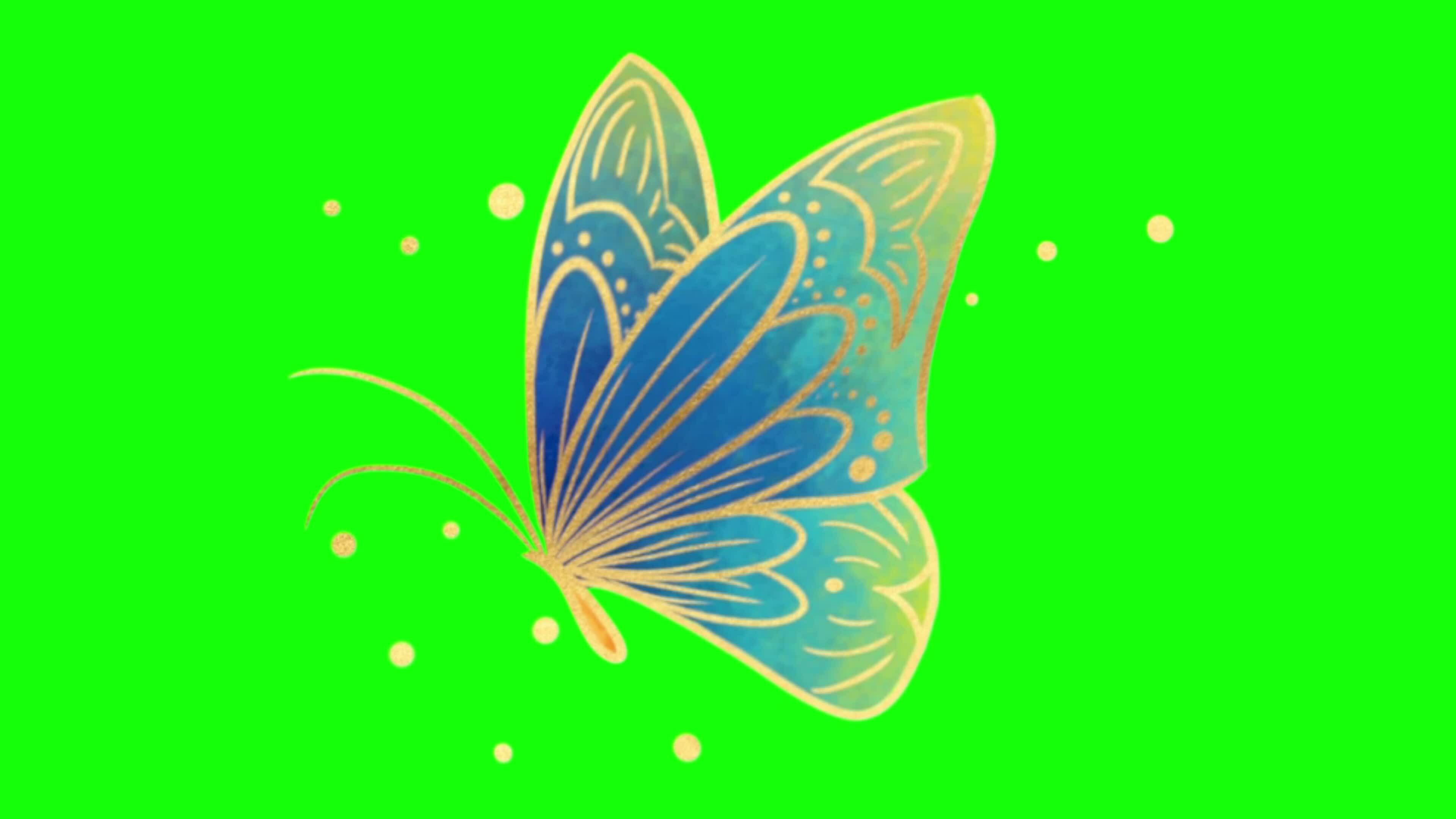 Beautiful Blue Butterfly Green Screen Background 36420584 Stock Video