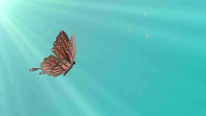 Butterfly Animation Stock Video Footage for Free Download