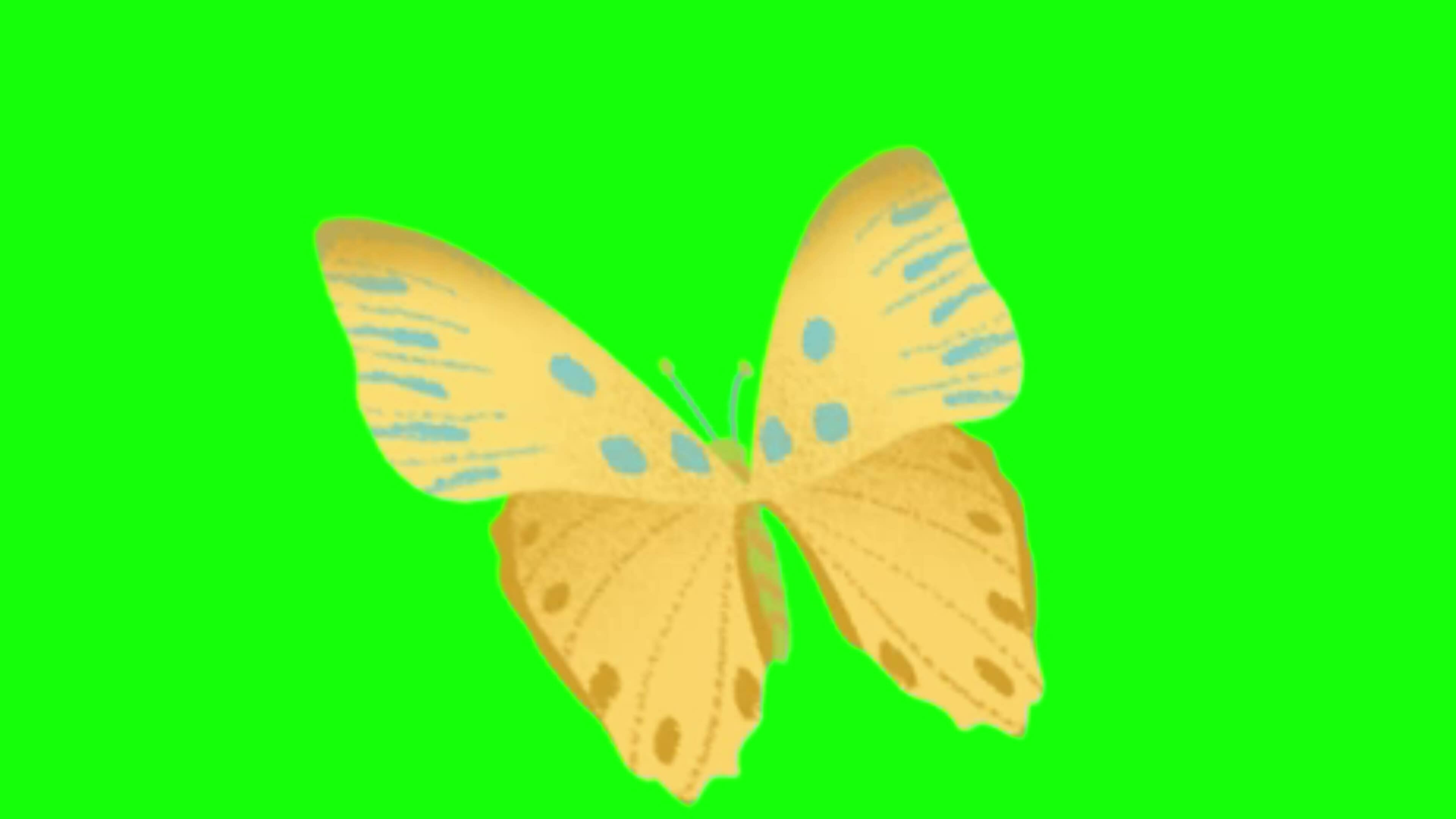 Yellow Butterfly Green Screen Background 36420591 Stock Video At Vecteezy