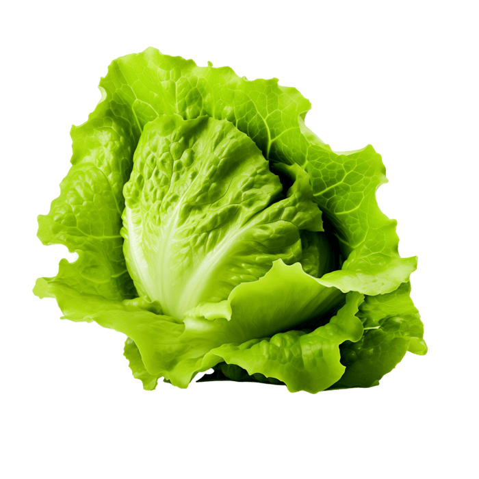 Lechuga PNG para descargar gratis