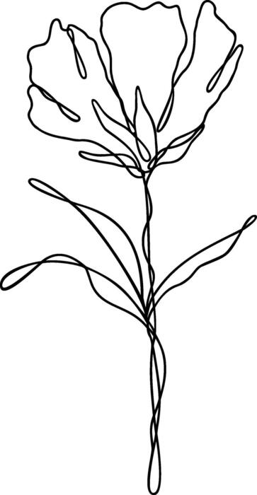 Black Line Flower Vector Art, Icons, and Graphics for Free Download