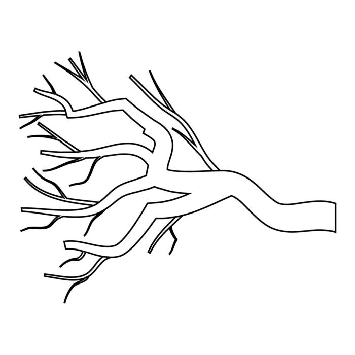 Tree Axon Vector Art, Icons, and Graphics for Free Download