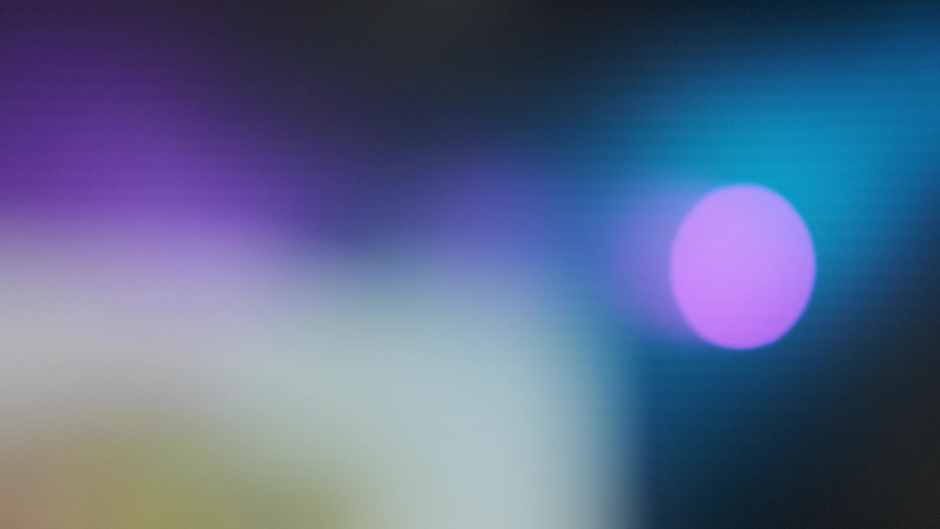 4K Abstract isolated blurred festive pink blue lights with bokeh. Sparkling circular stars ...