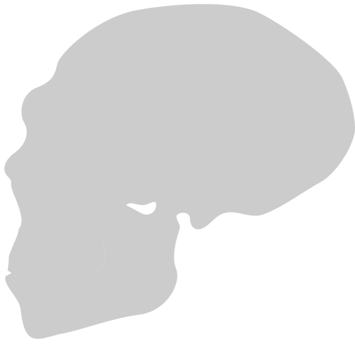 Skeleton Profile Vector Art, Icons, and Graphics for Free Download