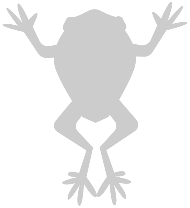 Frog Feet Vector Art, Icons, and Graphics for Free Download