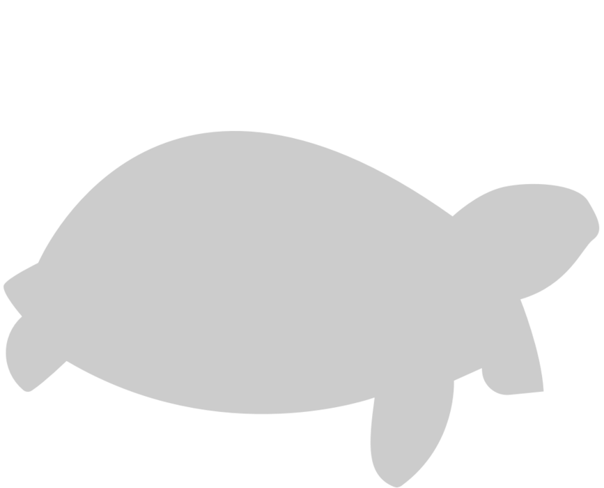 Marine Turtle Outline Vector Art, Icons, and Graphics for Free Download