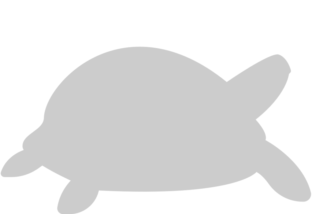 Marine Turtle Outline Vector Art, Icons, and Graphics for Free Download