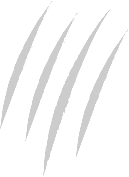 Cat Claw Marks Vector Art, Icons, and Graphics for Free Download
