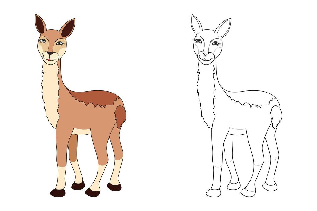 Llama Coloring Book Vector Art, Icons, and Graphics for Free Download