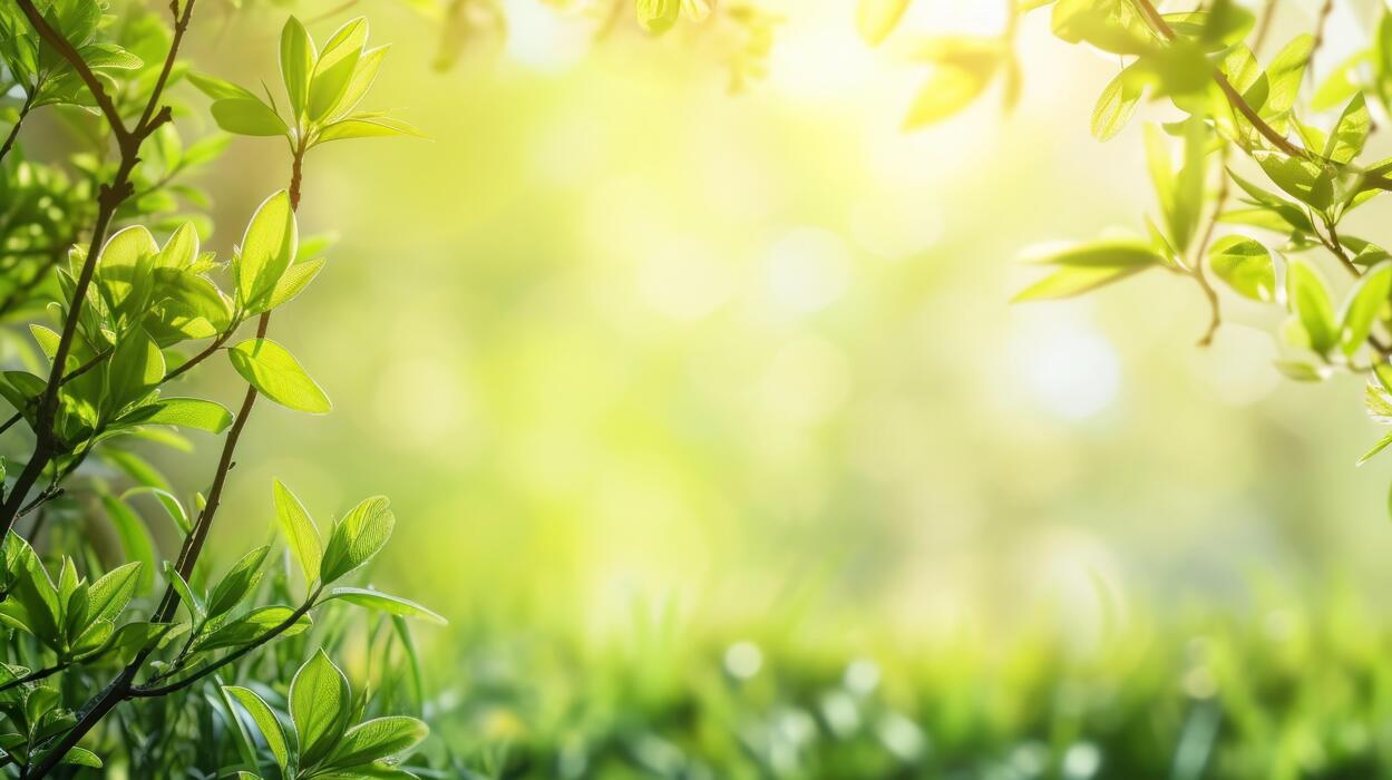 Nature Spring Background Stock Photos, Images and Backgrounds for Free ...
