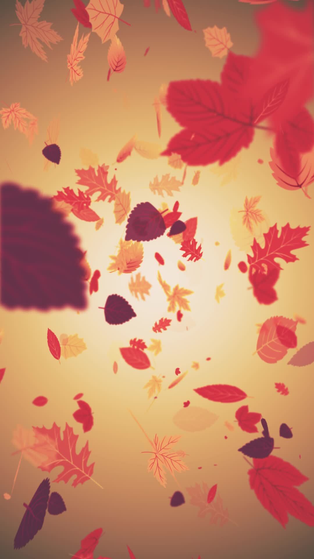 Vertical video - beautiful autumn colored leaves falling from the sky ...
