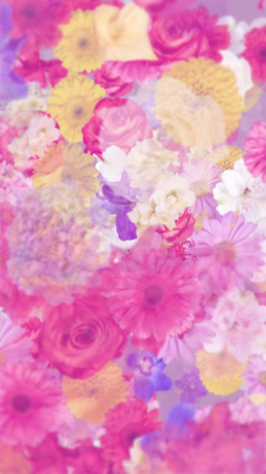 Vertical Video Elegant Colorful Floral Motion Background Animation With Various Flowers
