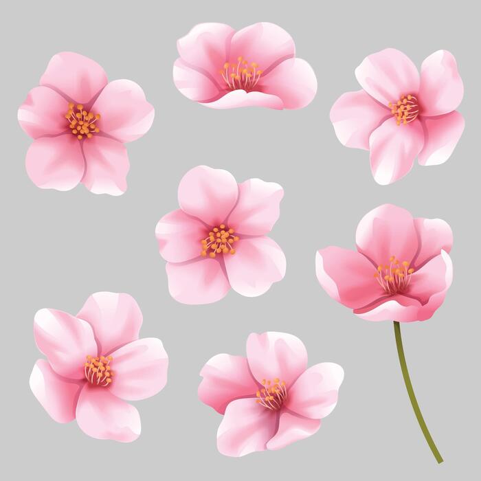 Pink Flowers Vector Art, Icons, and Graphics for Free Download
