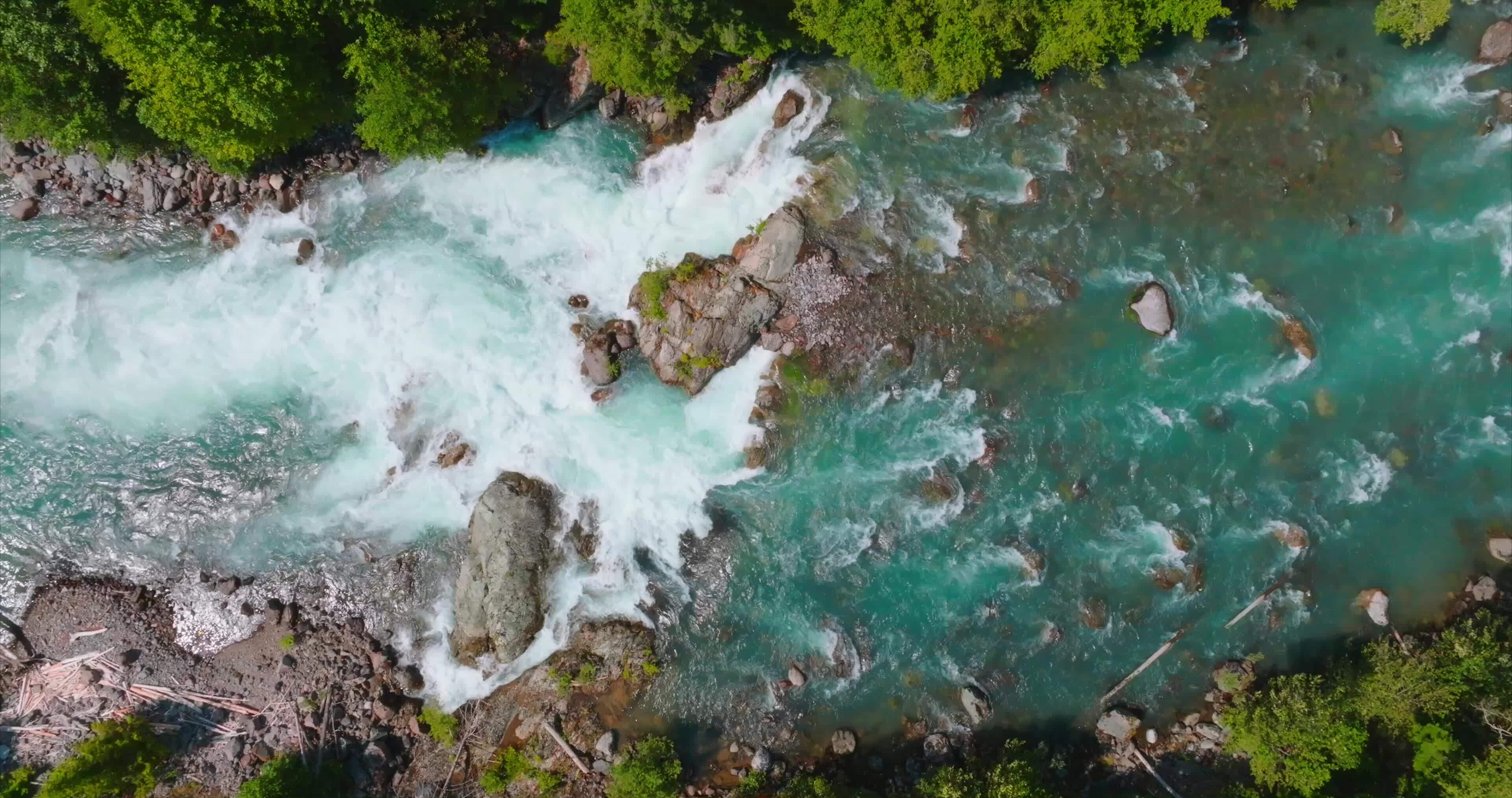 Top down view of fast moving river surrounded by pine forest. Canada ...