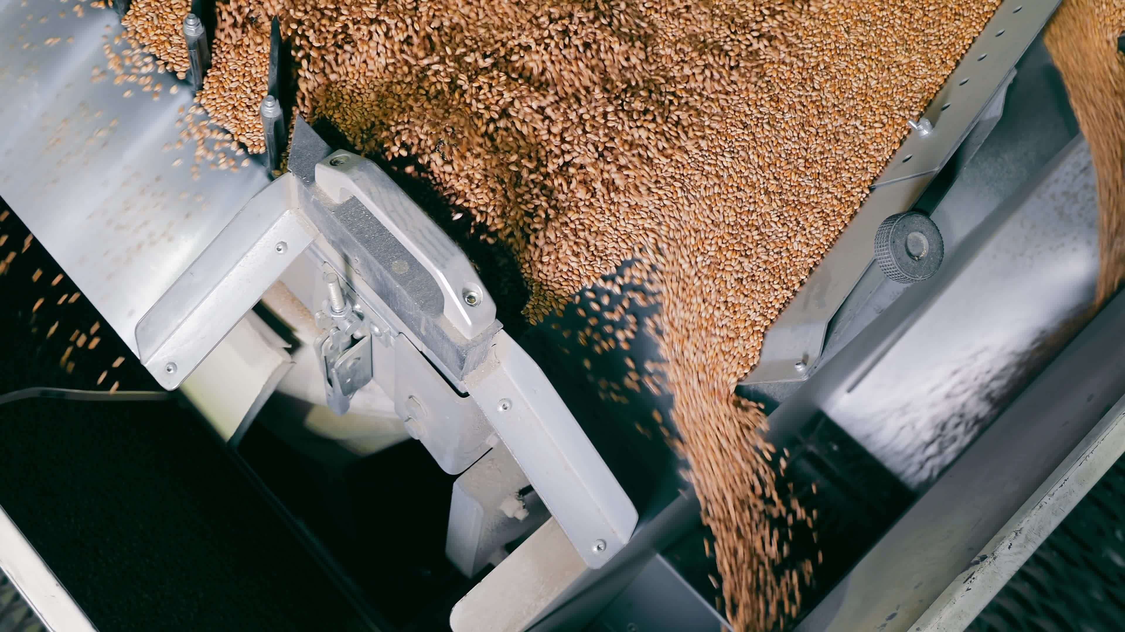Industrial Grain Processing Equipment Close Up Of Wheat Grains Flowing