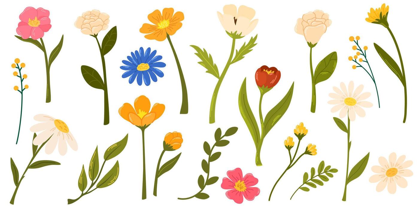 Spring Flowers Vector Art, Icons, and Graphics for Free Download