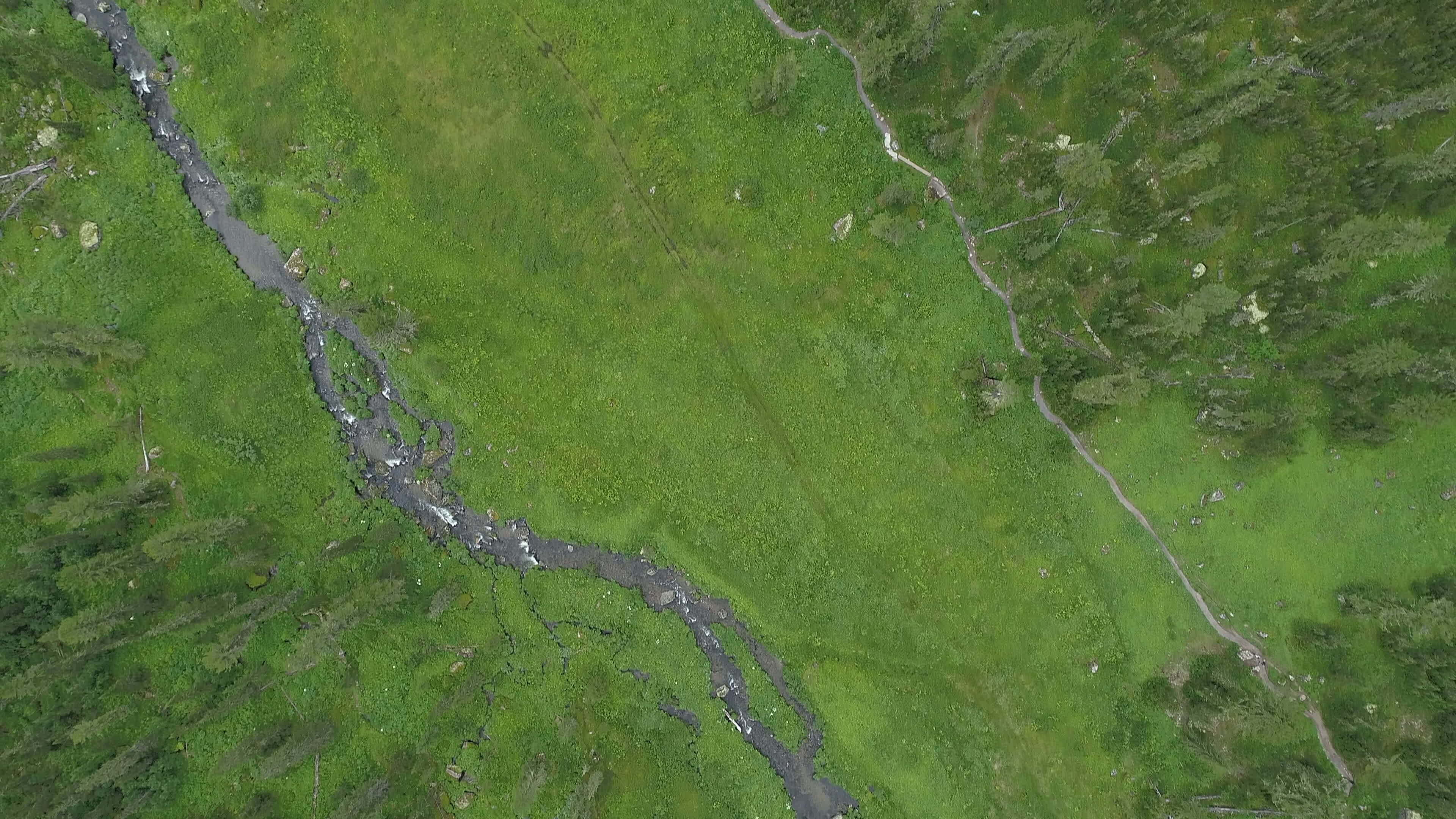 Aerial View of Serene River Forest 38060935 Stock Video at Vecteezy Aerial View of Serene River Forest 38060935 Stock Video at Vecteezy