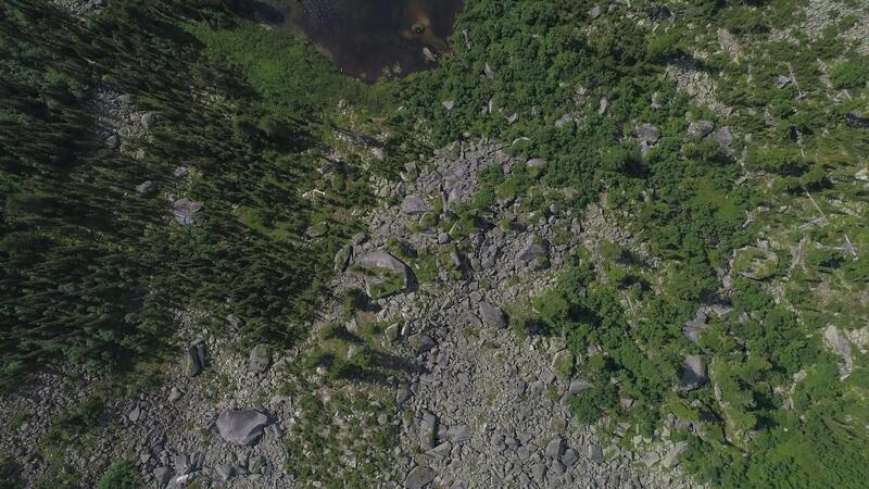 Aerial View of Serene Forest Lake 38066881 Stock Video at Vecteezy Aerial View of Serene Forest Lake 38066881 Stock Video at Vecteezy