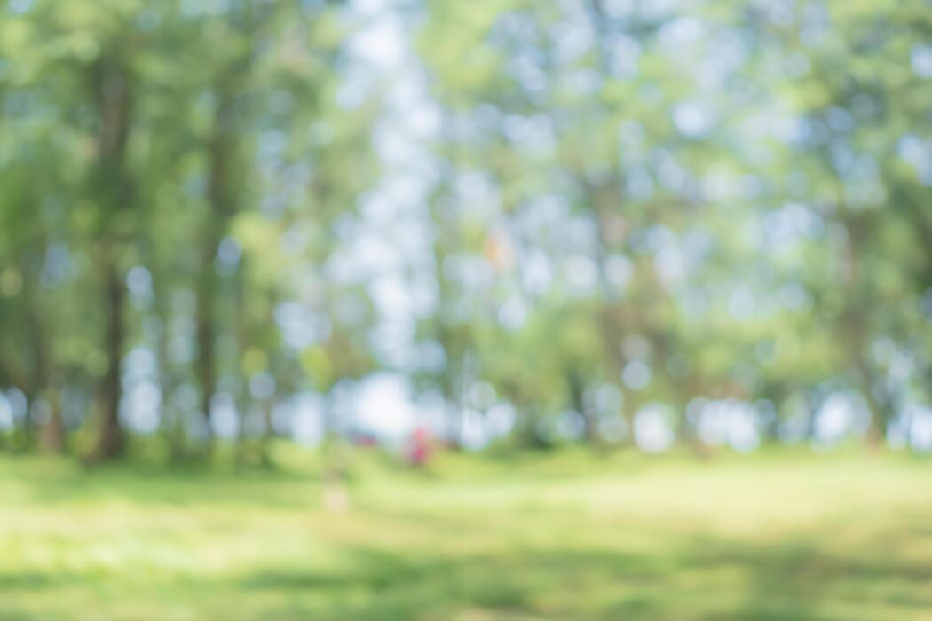 Nature Blur Background Stock Photos, Images and Backgrounds for Free Download