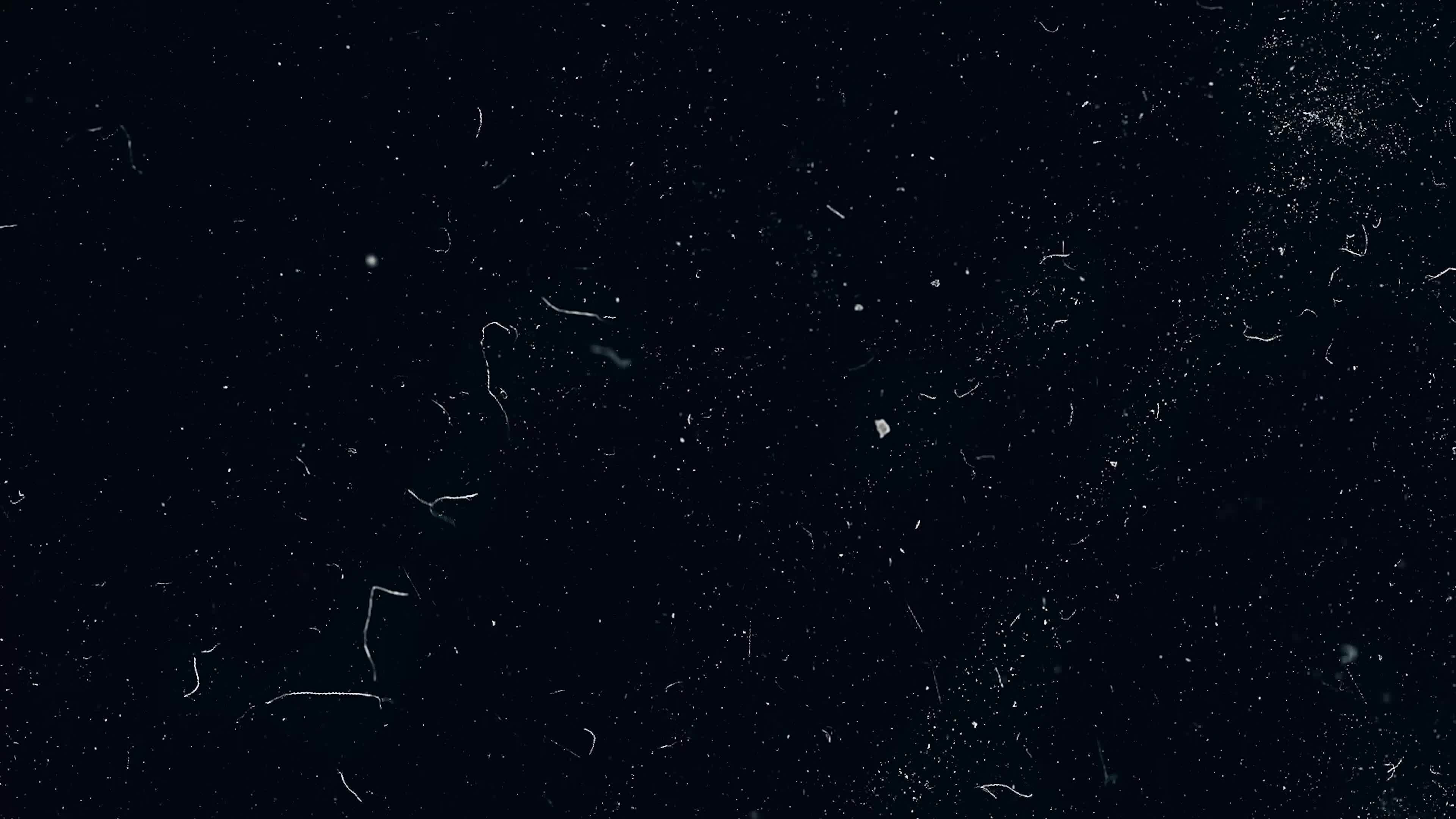 Slow motion macro shot of dust particles over black background. White dust particles moving ...