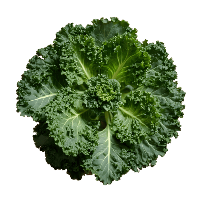 Kale PNGs for Free Download